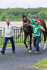 The Jones Boy - Horse Profile - BloodHorse