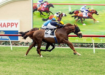 United - Horse Profile - BloodHorse