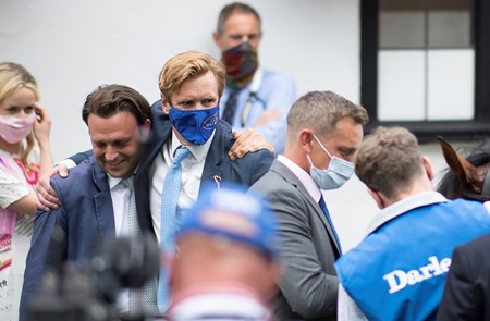 Starman (GB) - Horse Profile - BloodHorse