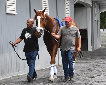 Mystic Guide - Horse Profile - BloodHorse