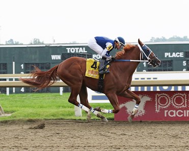 For the Dreamers - Horse Profile - BloodHorse