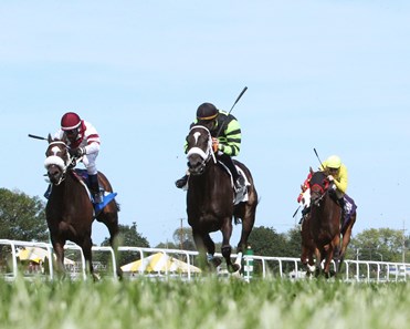 Bramble Queen - Horse Profile - BloodHorse