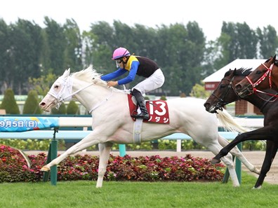 Sodashi (JPN) - Horse Profile - BloodHorse