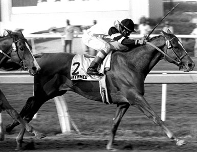 Affirmed - Horse Profile - BloodHorse