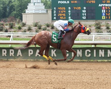 Kay Bee Gee - Horse Profile - BloodHorse