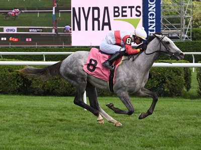 Equibase | Horse Racing | Horse Racing Entries | Horse Racing Results ...