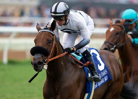 Going Global First North American G1 Winner for Mehmas - BloodHorse