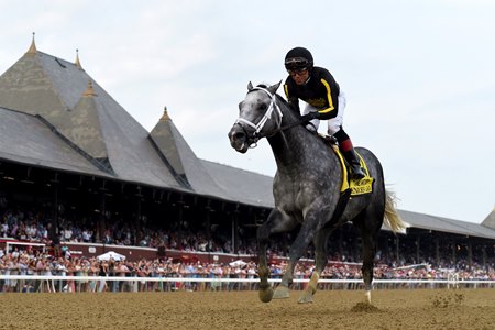 Knicks Go Emerges as New Leader in BC Classic Rankings - TrueNicks.com