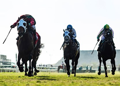Pulpit Rider - Horse Profile - BloodHorse