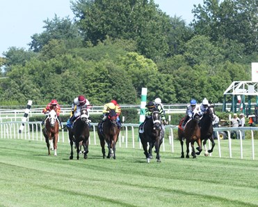 Bramble Queen - Horse Profile - BloodHorse