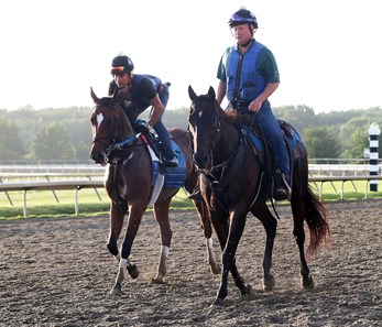 Clairiere - Horse Profile - BloodHorse
