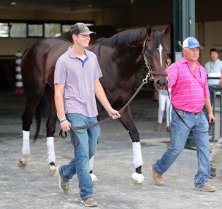 Midnight Bourbon - Horse Profile - BloodHorse