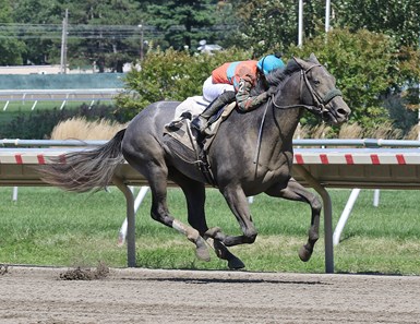 Affable Monarch - Horse Profile - BloodHorse