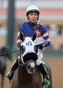 Connie Swingle - Horse Profile - BloodHorse