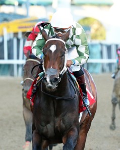 Cogburn - Horse Profile - BloodHorse