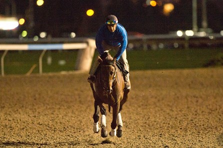 Avie's Flatter - Horse Profile - BloodHorse