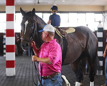 Midnight Bourbon - Horse Profile - BloodHorse