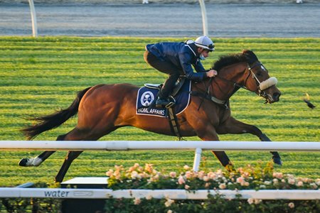 Coolmore Enters Trio in 'Premium 3YO Race of the Year' - BloodHorse