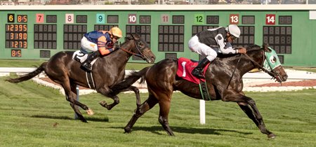 Octavius Prime First Winner for Pontiff - TrueNicks.com