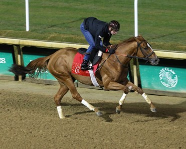 Got Stormy - Horse Profile - BloodHorse