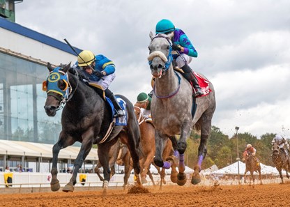 Calypso Ghost - Horse Profile - BloodHorse