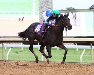 Goodnight Olive - Horse Profile - BloodHorse