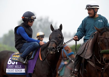 Eight Rings - Horse Profile - BloodHorse