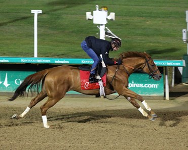 Got Stormy - Horse Profile - BloodHorse