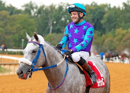 Calypso Ghost - Horse Profile - BloodHorse