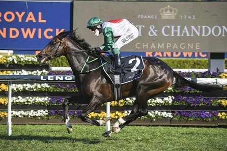 Messara's Profondo, Hitotsu Head Australian Guineas - TrueNicks.com