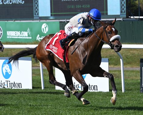 Sail By, Arrest Me Red Top Turf Action at Belmont - BloodHorse