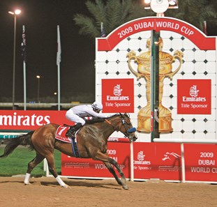 Well Armed - Horse Profile - BloodHorse