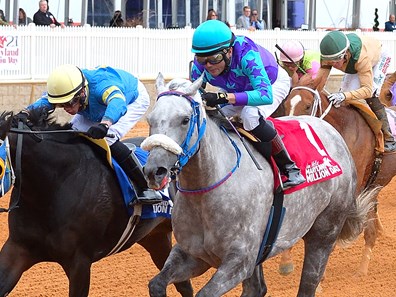 Calypso Ghost - Horse Profile - BloodHorse