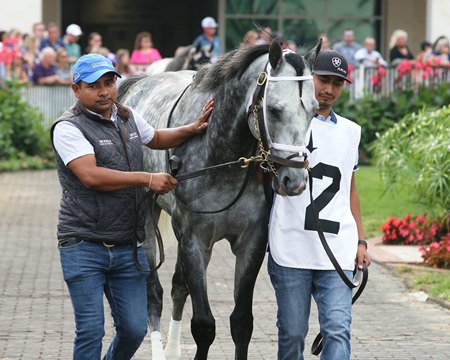 Knicks Go Continues to Lead NTRA Top Thoroughbred Poll - BloodHorse