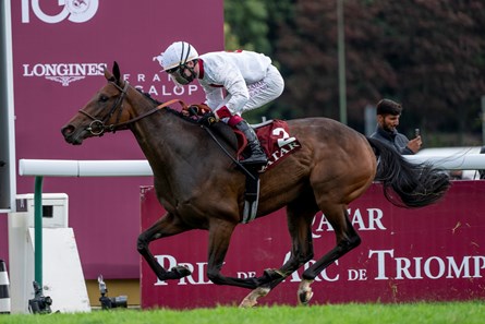 Zellie (FR) - Horse Profile - BloodHorse