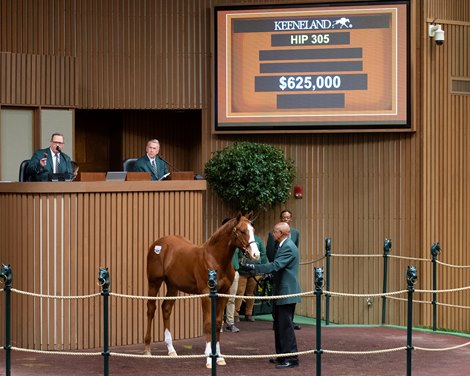 Justify Colt Sells for $625,000 at Keeneland November - BloodHorse