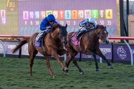 Yibir, Loves Only You Claim Turf Titles - BloodHorse
