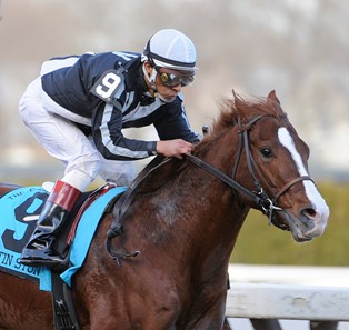 Bustin Stones - Horse Profile - BloodHorse