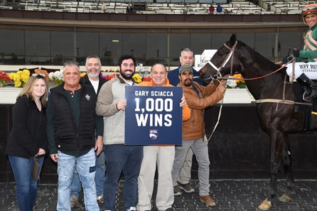 Caumsett - Horse Profile - BloodHorse