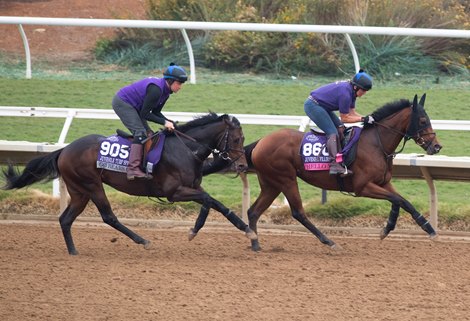 Amo Racing Targets 'Elusive' Group 1 Victory in 2022 - BloodHorse