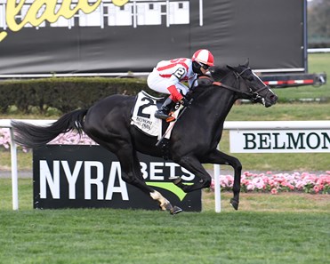 Inflation Adjusted - Horse Profile - BloodHorse