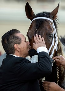 Principe Carlo - Horse Profile - BloodHorse