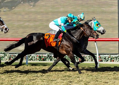Field Pass - Horse Profile - BloodHorse