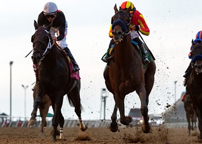 Azul Coast - Horse Profile - BloodHorse