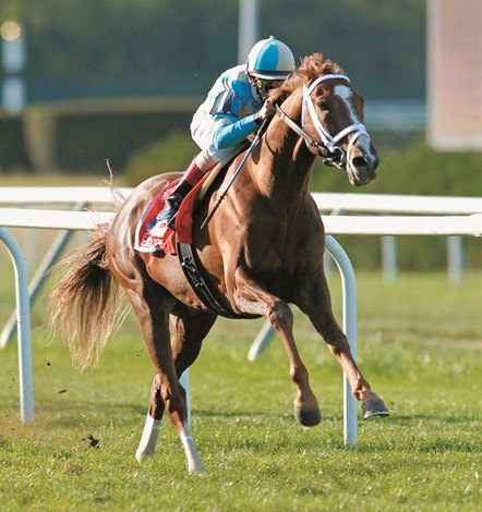 The Late English Channel Making Moves on Sires List - BloodHorse