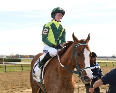 Cover Photo - Horse Profile - BloodHorse