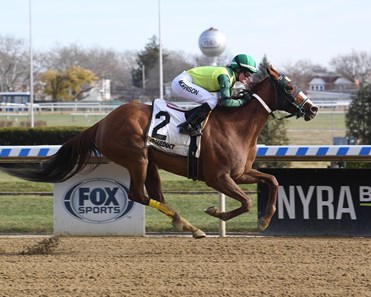 Cover Photo - Horse Profile - BloodHorse