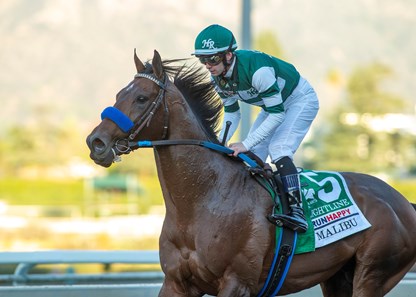Flightline - Slideshow - BloodHorse