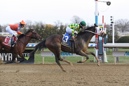 Repo Rocks - Horse Profile - BloodHorse