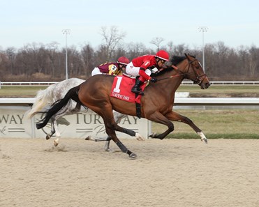 Irrepressible - Horse Profile - BloodHorse